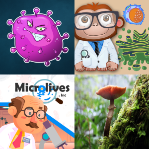 Game Based Learning: Structures of Protists and Fungi 6.L.5A - Free ...