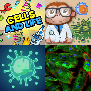 Worksheet: Year 9 Cells and Homeostatsis - Free Educational Games ...