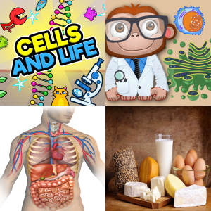 Free Lesson: Conversion of Food Into Matter and Energy MS-LS1.C-2 ...