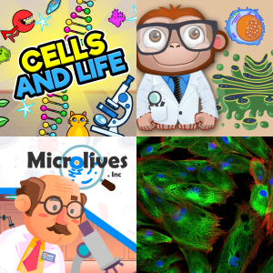 Game Based Learning: 7th Grade Science Characteristics of Life Review ...