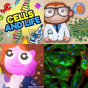 Free Lesson: Cells - Free Games and Assessments - Legends of Learning