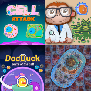 Student Lesson: Prokaryotic and Eukaryotic Cells 6.12B - Free ...