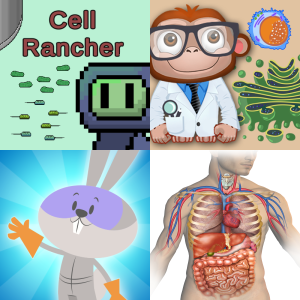 Game Based Learning: Hierarchical Organization of Multicellular ...