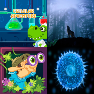 Practice: Survival of Singular vs Multicellular Organisms 5.L.1.1 ...