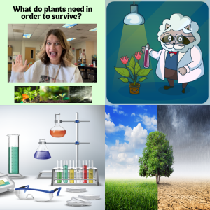 Lesson: Plant's Survival Needs 2-LS2.A-1 - Free Games and Videos ...