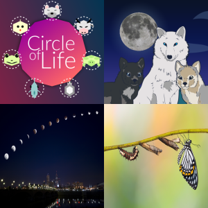 For Class: Life Cycles of Florida's Plants and Animals SC.4.L.16.4 ...