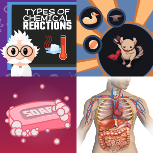 Game Based Learning: Energy Transfer in Chemical Reactions MS-PS1.B-3 ...