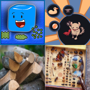 Game Based Learning: Classify Objects By Observable Properties 1.5A Assignment - Free Games and ...