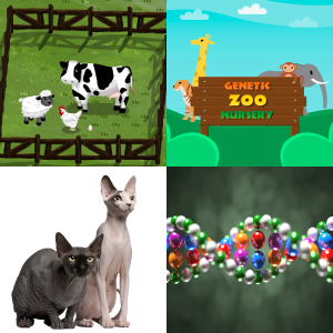 Teaching Plan: Selective Breeding and Genetics Review - Free Games and ...