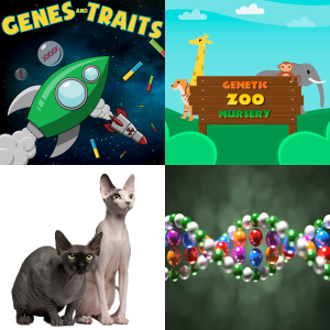 Practice: DNA and Traits Assignment - Free Games and Assessments ...