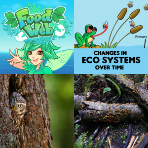 Game Based Learning: Cycles of Matter and Energy Transfer in Ecosystems ...