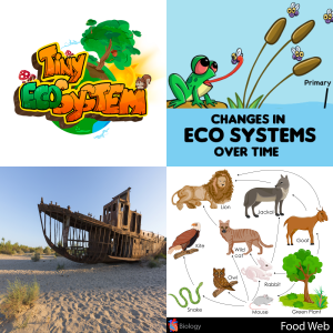 Free Homework Prep: Food Webs in an Ecosystem MS-LS2.B-1 - Free Games ...