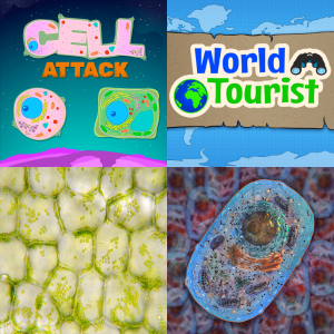 Game Based Learning: Parts of the Cell - Plants vs. Animals LS.2b ...