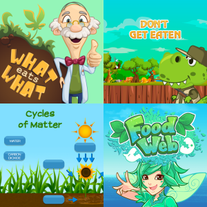 Free Homework Prep: Cycles of Matter and Energy Transfer in Ecosystems ...