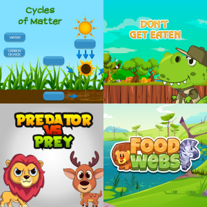 For Class: Cycles of Matter and Energy Transfer in Ecosystems 5-LS2.B-1 ...