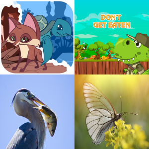 Free Homework Prep: Plants vs Animals - Free Games and Assessments ...