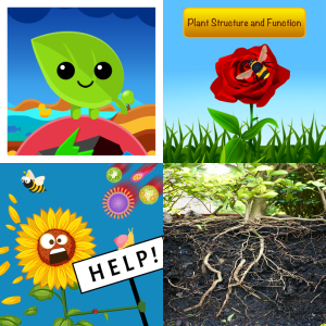 Free Lesson: Structures of Typical Plants 4.4a Assignment - Free ...