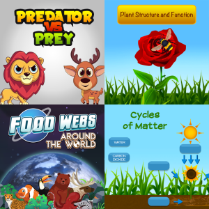 Lesson: Flow of Energy in the Food Chain SC.4.L.17.3 - Free Educational ...