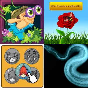 Free Lesson: Animal Structure and Function 4-LS1.A-1b - Free ...