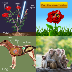 Student Lesson: Classification of Organisms 5.5b - Free Educational ...