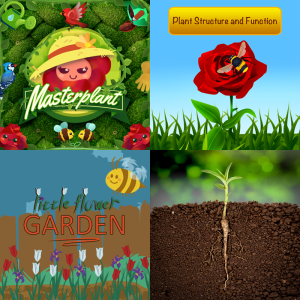 Game Based Learning: Plant Structures and their Function SC.3.L.14.1 ...