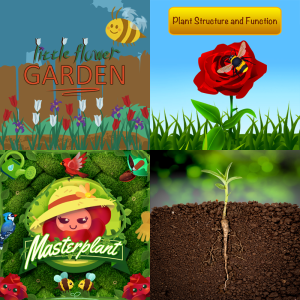 Free Educational Games: Plant Structure and Function ES-LS1.A-1a - Free ...