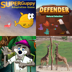 Teaching Plan: Natural Selection MS-LS4.B-1 - Free Educational Games ...