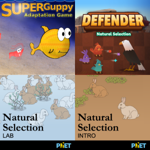 Worksheet: Contributions of Genetic Variation and Environmental Factors ...