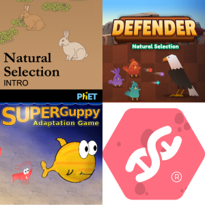 Game Based Learning: Natural Selection and Selective Breeding 7.11C ...