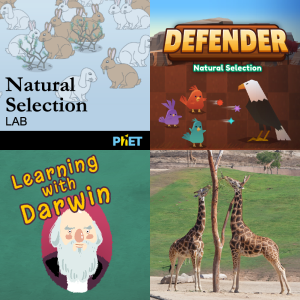 Free Lesson: Natural Selection MS-LS4.B-1 - Free Games, Simulations ...