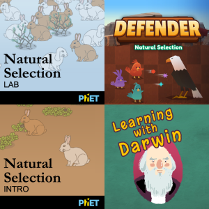 Student Lesson: Natural Selection MS-LS4.B-1 - Free Games and ...
