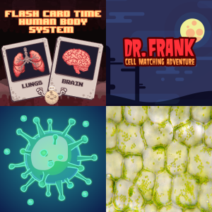 Free Educational Games: 9/24- Cells, body systems, levels of ...