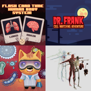 Practice: Functions and Interactions of Humans' Body Systems SC.6.L.14. ...