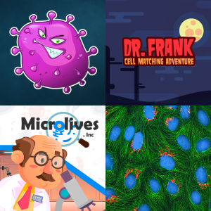 Practice: Hierarchical Organization of Multi-cellular Organisms 7.L.1.3 ...