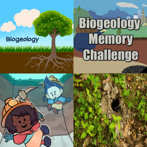 Worksheet: Sci Review; Biogeology - Free Games and Assessments ...