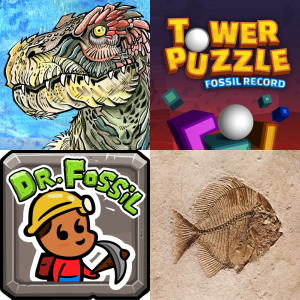 Student Lesson: Fossil Record MS-ESS1.C-1a - Free Games and Assessments ...