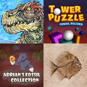 Free Educational Games: Fossil Record MS-ESS1.C-1a - Free Educational ...