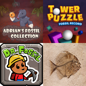 Worksheet: Fossil Record MS-ESS1.C-1a - Free Games and Assessments ...