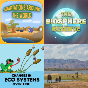 Student Lesson: Environmental Changes 3.9C - Free Educational Games ...