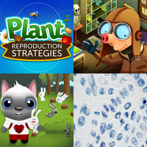 For Class: 8th GRADE - Sexual Reproduction and Genetic Variation LS3.B ...