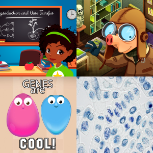 Student Lesson: Reproduction and Gene Transfer - Free Educational Games ...