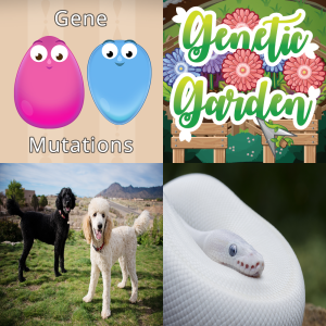 Free Educational Games: Gene Mutations MS-LS3.B-2 - Free Educational ...