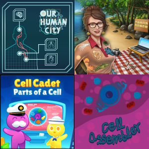 Free Lesson: Hierarchical Organization of Organisms SC.6.L.14.1 - Free Educational Games ...