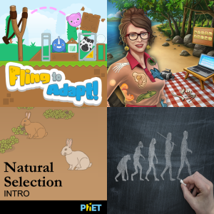 For Class: Mutation, Adaptation, Natural Selection, and Extinction LS ...