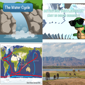 Free Educational Games: Impact of Organisms on the Hydrologic Cycle 6 ...