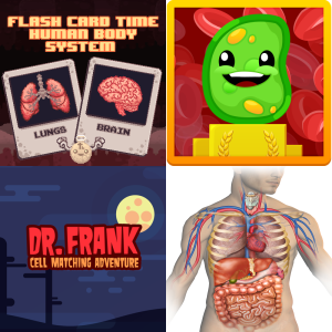 Game Based Learning: Multicellular Organisms and their Subsystems MS ...