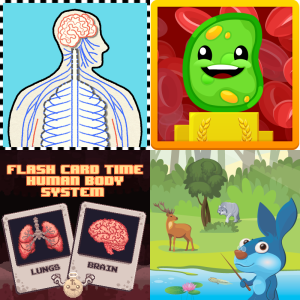 Free Educational Games: Human Body Systems 7.12B - Free Games and ...
