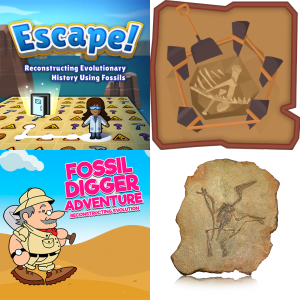 Student Lesson: Fossil Evidence and Evolution SC.7.L.15.1 - Free ...