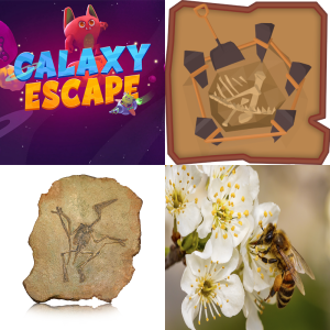 Game Based Learning: Fossil Evidence and Evolution SC.7.L.15.1 - Free ...