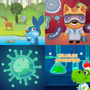 Teaching Plan: Structure And Function Cells to Organisms - Free ...